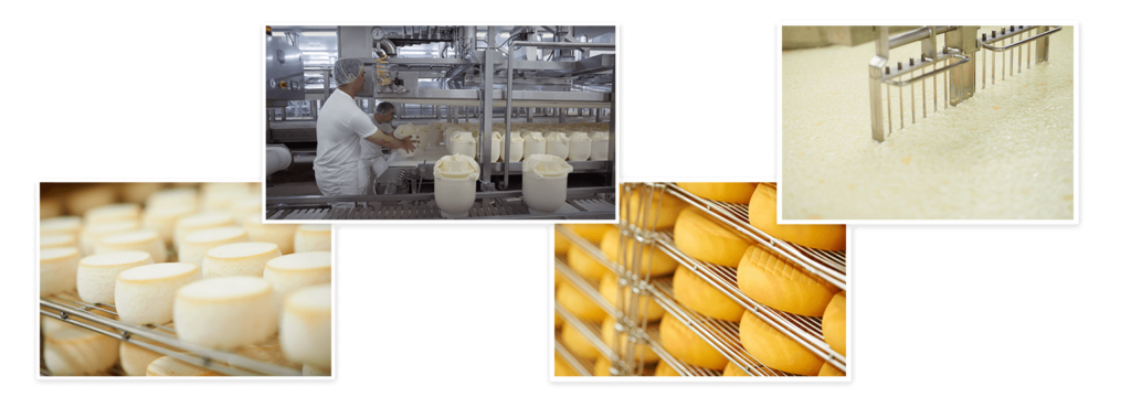 Our cheeses - Chimay